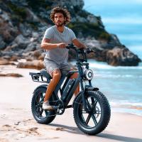 China 20 Inch Fat Tire Ebike High Power Motor Retro Motorcycle Style Fat Tire Ebike with Front LED Headlight for sale
