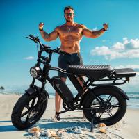 China 20 Inch Fat Tire Ebike High Power Motor Retro Motorcycle Style Fat Tire Ebike with Front LED Headlight for sale