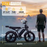 China Dual Suspension Fat Tire Ebike 750W for Mountain Off Road Riding Snow and Beach Fat Tire Electric Bike for sale