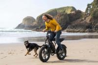 China Step Over Fat Tire Ebike for Men 750W Motor with LCD Display Long Range Fat Tire Electric Bike for sale