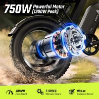 China Step Over Fat Tire Ebike for Men 750W Motor with LCD Display Long Range Fat Tire Electric Bike for sale