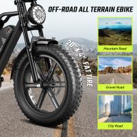 China Step Over Fat Tire Ebike for Men 750W Motor with LCD Display Long Range Fat Tire Electric Bike for sale