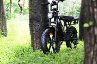 China Powerful 1000W Fat Tire Electric Bike with 48V Removable Battery for Hunting and Outdoor Sports for sale