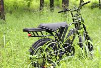 China Powerful 1000W Fat Tire Electric Bike with 48V Removable Battery for Hunting and Outdoor Sports for sale