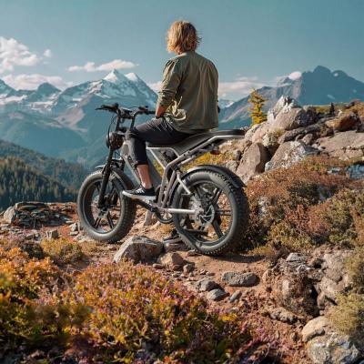 China Eu Warehouse Electric Hybrid Bike Electric Dirt Bike 20 Inch 48V Fat Tire Mountain Bike Electric Bicycles for sale