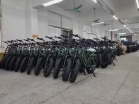 China Eu Warehouse Electric Hybrid Bike Electric Dirt Bike 20 Inch 48V Fat Tire Mountain Bike Electric Bicycles for sale