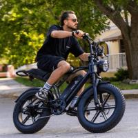 China 250W Electric Bicycle Disc Brake Dirt Bikes V20 Retro Sport Electronic Bicycle for sale