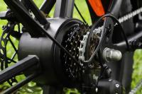 China Seater Electric Off-Road Mountain E-Bike 20inch 750W Fat Tire Bike with 48v Battery Steel Frame Best Price for sale