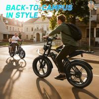 China Seater Electric Off-Road Mountain E-Bike 20inch 750W Fat Tire Bike with 48v Battery Steel Frame Best Price for sale