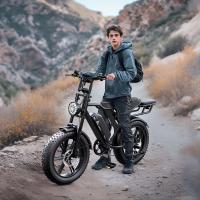 China Off Road Fat Tire Ebike 750W for Adventure, Snow, and Sand Riding Powerful 750W Fat Tire Electric Bike for sale