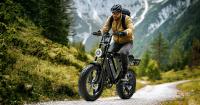 China 750W Retro Fat Tire Electric Bike for Adults City and Off Road Riding Fat Tire Electric Bike CE FCC ROHS Certified for sale