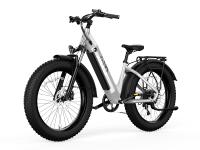 China F622 26 Inch Electric Bike with 48v Rear Hub Brushless Motor Fat Tire Lithium Battery Fat Ebike F612 for sale