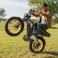 China TST R9 Electric Bike for Adults 250W Motor Ebike with 48V 15Ah/35Ah Built-in Battery, 55-190km Range 25 km/h 20