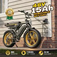 China TST R9 Electric Bike for Adults 250W Motor Ebike with 48V 15Ah/35Ah Built-in Battery, 55-190km Range 25 km/h 20