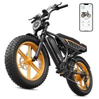 China TST R9 Electric Bike for Adults 250W Motor Ebike with 48V 15Ah/35Ah Built-in Battery, 55-190km Range 25 km/h 20