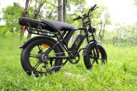 China 20inch 750W Fat Tire Bike Seater Electric Off-Road Mountain E-Bike with 48v Steel Frame Best Price for sale