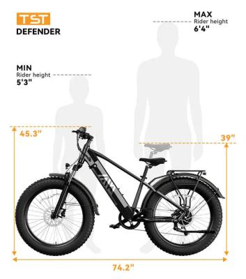 China New 26 Inch Electric Bike with 48v Rear Hub Brushless Motor Fat Tire Lithium Battery Fat Big Tire Ebike for sale