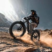 China New 26 Inch Electric Bike with 48v Rear Hub Brushless Motor Fat Tire Lithium Battery Fat Big Tire Ebike for sale