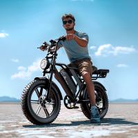 China EU 20 Inch Fat Tire Ebike Retro Motorcycle Style with Bafang Motor Lithium Battery 15AH Front LED Headlight for Outdoor Use for sale