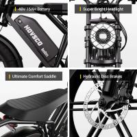 China 20inch EU Fat Tire Bike Electric Off-Road Fat Tire E-Bike with Best Price and Seater 48v Battery Steel Frame 250W for sale
