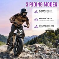 China 2026 New Model R7 48V Electric Moped Bike 25km/h 250W Full Suspension Electric Hybrid Bike for Female for sale