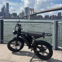 China Yeestep V8 4.0 Electric 20 Inch Mountain Bike R002 250W Removable Battery Steel Fork Ordinary Pedal E Bike EU/UK/AU Warehouse for sale