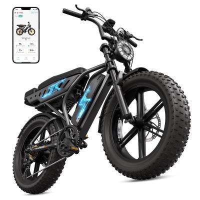 China TST R9 Electric Bike for Adults 250W Motor Ebike with 48V 15Ah/35Ah 55-190km Range Fat Tire E Bike for sale