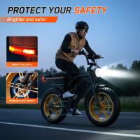 China TST R9 Electric Bike for Adults 250W Motor Ebike with 48V 15Ah/35Ah 55-190km Range Fat Tire E Bike for sale