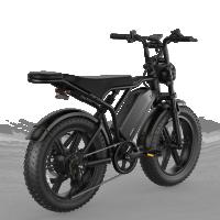 China 750W Electric Bicycle Disc Brake Dirt Bikes V20 Retro Sport Electronic Bicycle Fat Ebike R002 for sale