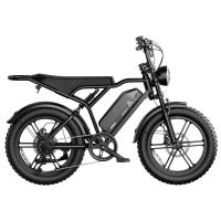 China 750W Electric Bicycle Disc Brake Dirt Bikes V20 Retro Sport Electronic Bicycle Fat Ebike R002 for sale