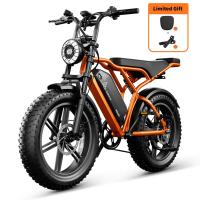 China 750W Electric Bicycle Disc Brake Dirt Bikes V20 Retro Sport Electronic Bicycle Fat Ebike R002 for sale
