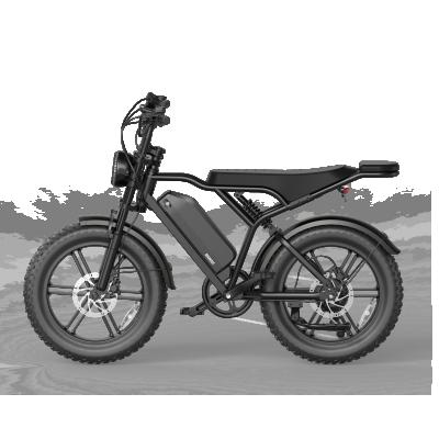 China 750W Electric Hybrid Bike Front Suspension 15AH Battery Motor Disc Brake Retro Sport Dirt Bike V20 R002 for sale