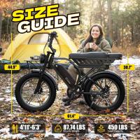 China R9 Electric Bike for Adults 250W Motor Ebike with 48V 15Ah/35Ah 48V Battery LONG Range 25 km/h E Bike for Eu for sale