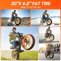 China R9 Electric Bike for Adults 250W Motor Ebike with 48V 15Ah/35Ah 48V Battery LONG Range 25 km/h E Bike for Eu for sale