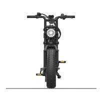 China 750W Electric Hybrid Bike Front Suspension 15AH Battery Motor Disc Brake Retro Sport Dirt Bike V20 R002 for sale