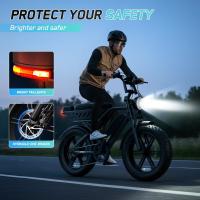 China TST R9 Electric Bike for Adults 250W Motor Ebike with 48V 15AH 25AH 55-190km Range Electric Bicycle Kit for sale