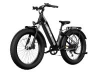 China OEM F622 Off Road Motor 750W Fat Tire Ebike 7 Speed Hydraulic Disc Brake Fat Bike for Snow Beach City Mountain Bike for sale