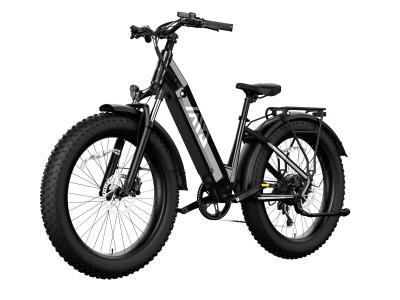 China OEM F622 Off Road Motor 750W Fat Tire Ebike 7 Speed Hydraulic Disc Brake Fat Bike for Snow Beach City Mountain Bike for sale
