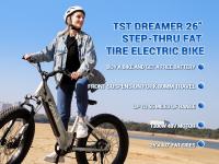 China OEM F622 Off Road Motor 750W Fat Tire Ebike 7 Speed Hydraulic Disc Brake Fat Bike for Snow Beach City Mountain Bike for sale