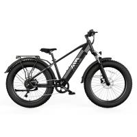 China OEM F612 Off Road Motor 750W Fat Tire Ebike 7 Speed Hydraulic Disc Brake Fat Bike for Snow Beach City Mountain Bike for sale
