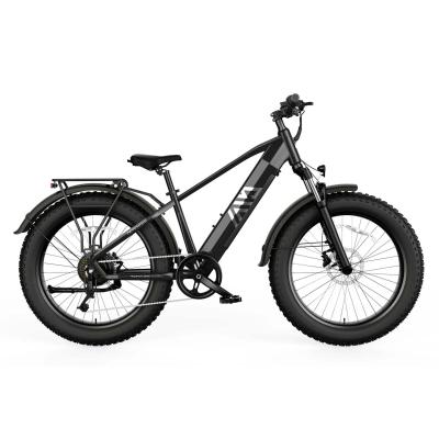 China OEM F612 Off Road Motor 750W Fat Tire Ebike 7 Speed Hydraulic Disc Brake Fat Bike for Snow Beach City Mountain Bike for sale