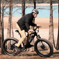 China OEM F612 Off Road Motor 750W Fat Tire Ebike 7 Speed Hydraulic Disc Brake Fat Bike for Snow Beach City Mountain Bike for sale