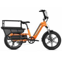 China EU Stock New Arrival Fashion 20inch Cargo Ebike 25km/h Road Electric Bike Electric Moped Bicycle With 750W Motor for sale
