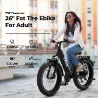 China Factory Price F622 26 Inch Off Road Motor 750W Fat Tire Ebike 7 Speed Hydraulic Disc Brake Fat Mountain Bike for sale