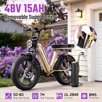 China R7 Electric Multi-Purpose E-Bike Brushless Steel Frame Dual Suspension Disc Brake Rear Hub Motor 15AH Electric Utility Bike for sale