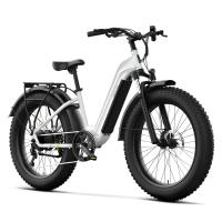 China F622 26 Inch Electric Bike with 48v Rear Hub Brushless Motor Fat Tire Lithium Battery Fat Ebike for sale