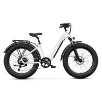 China F622 26 Inch Electric Bike with 48v Rear Hub Brushless Motor Fat Tire Lithium Battery Fat Ebike for sale
