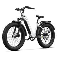China F622 26 Inch Electric Bike with 48v Rear Hub Brushless Motor Fat Tire Lithium Battery Fat Ebike for sale