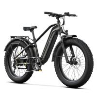 China F622 26 Inch Electric Bike with 48v Rear Hub Brushless Motor Fat Tire Lithium Battery Fat Ebike for sale