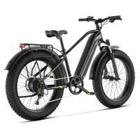 China F622 26 Inch Electric Bike with 48v Rear Hub Brushless Motor Fat Tire Lithium Battery Fat Ebike for sale